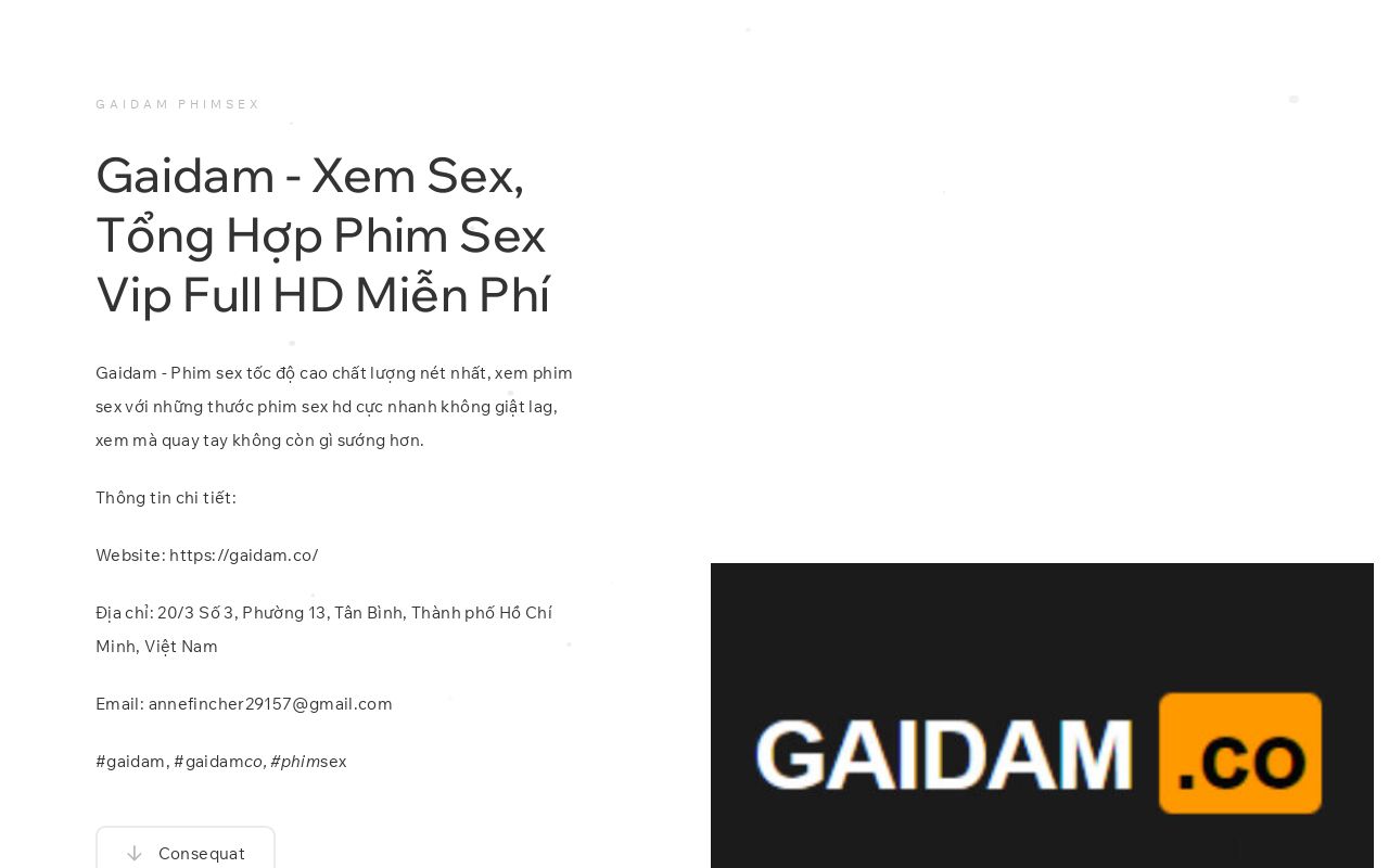 Gaidam Phimsex